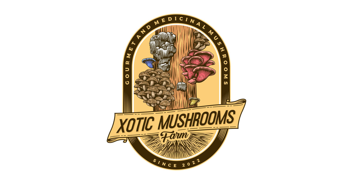 Xotic Mushrooms Melbourne | Premium Australian Grown Exotic Mushrooms