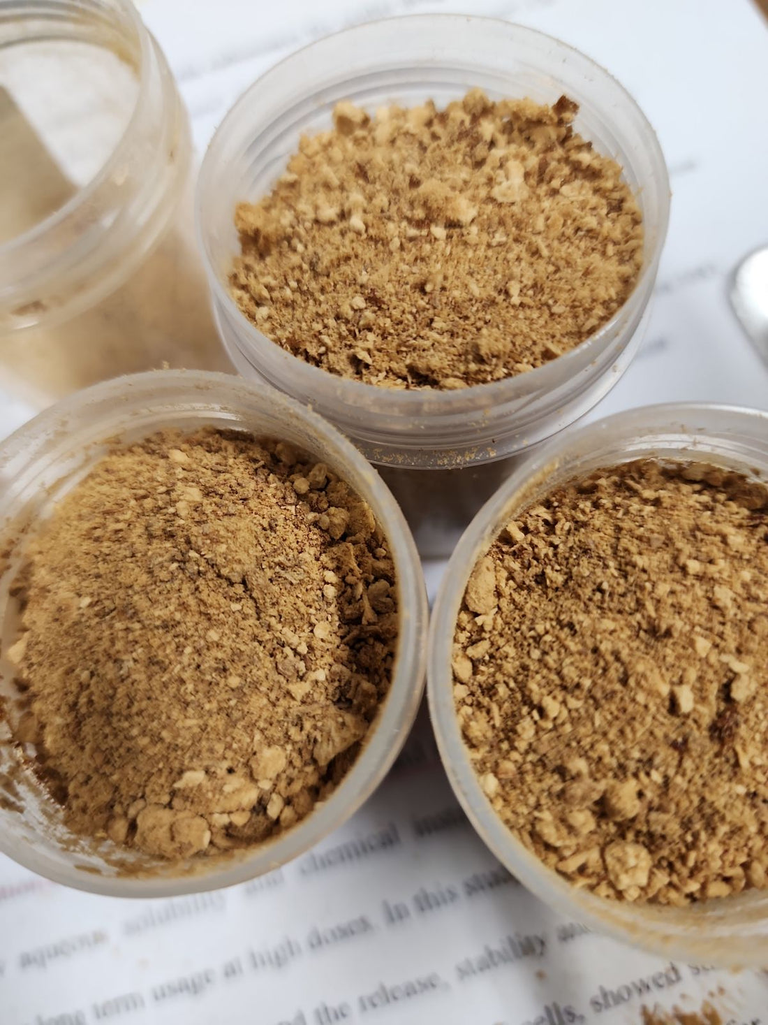 Can Lion’s Mane Mushrooms Interact with Medications? What to Watch For ...