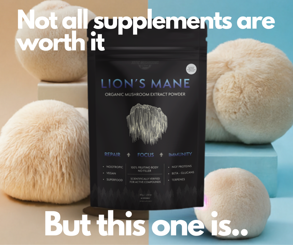 Organic Lions Mane 12:1 Extract Powder | 100% Fruit Bodies – Xotic ...