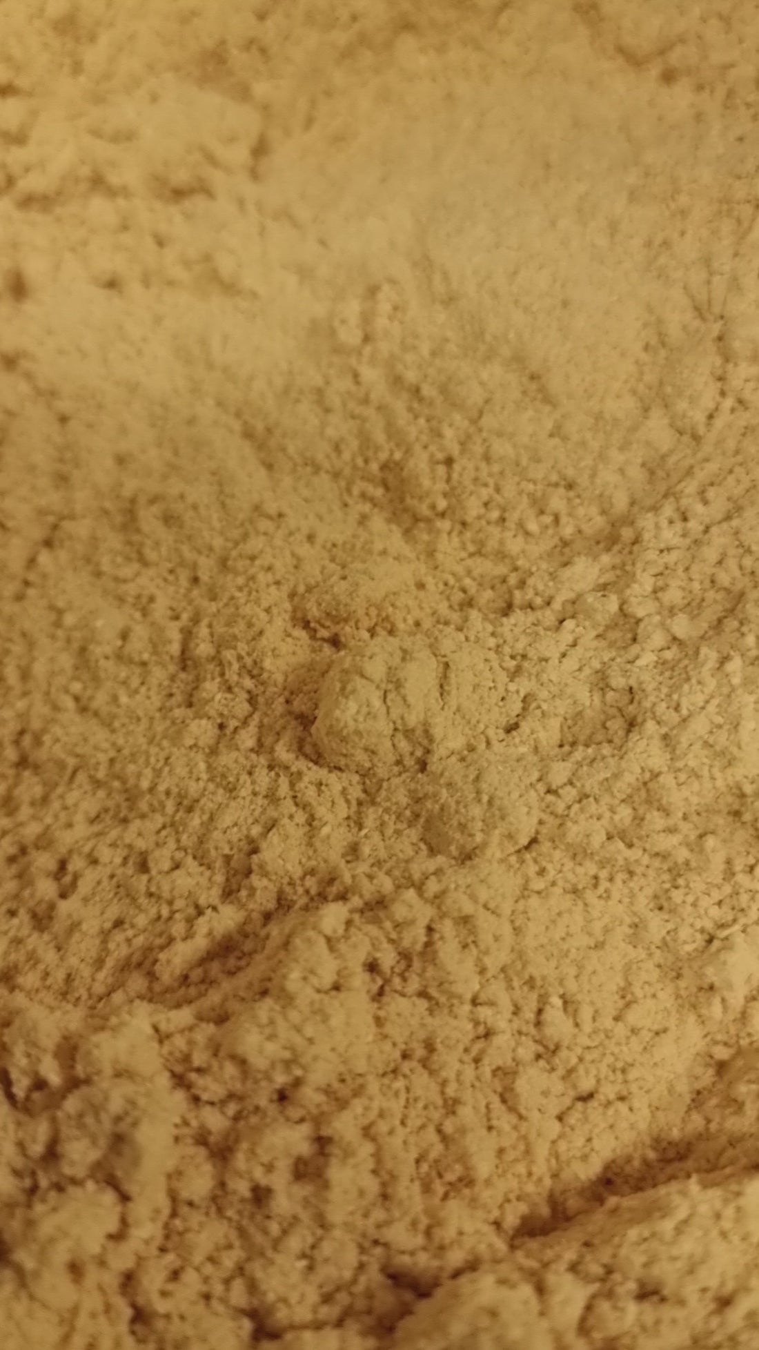 Lion’s Mane Mushrooms and Eye Health: Can They Protect Your Vision ...